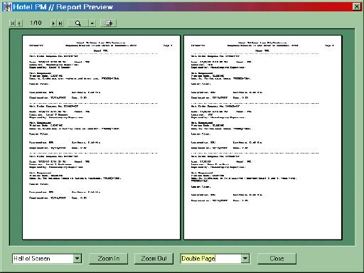 Report Preview Options