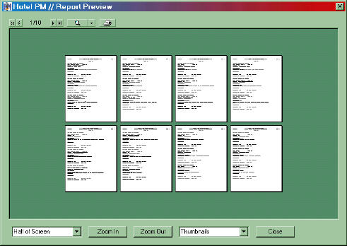 Report Preview Options