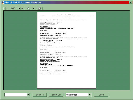 Report Preview Options